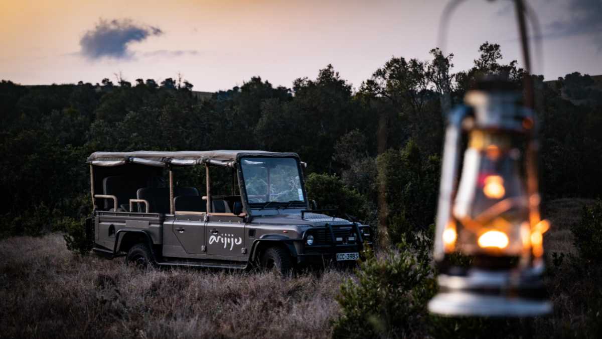 Southern African Safaris: Top Safari Destinations in Southern Africa